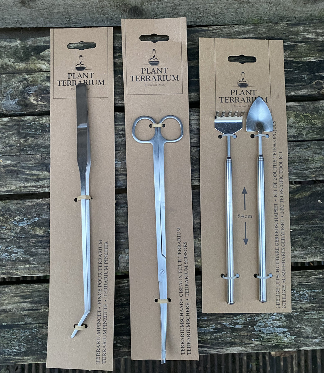 Revive by Lusan: Desert Coffee Edition – UK Terrariums Lusan