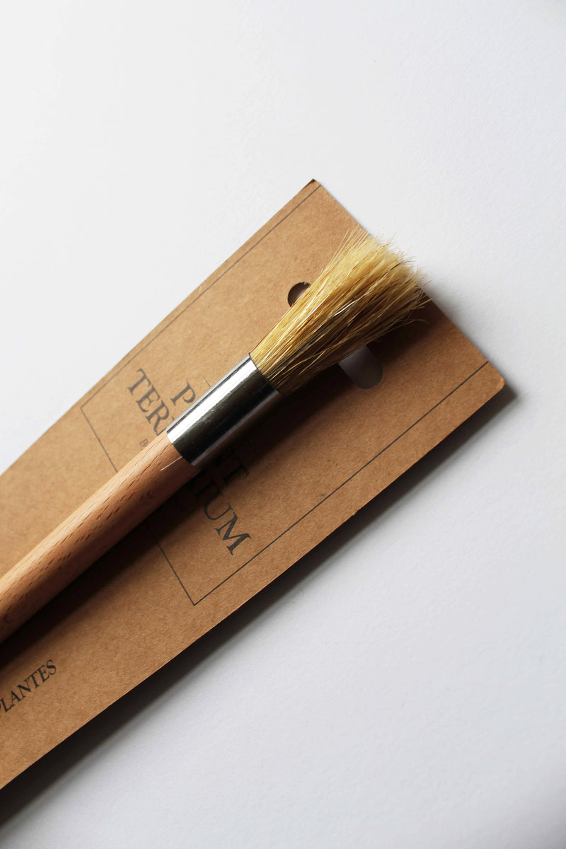 Terrarium Tool Set: Bottle Garden Quartet – UK Terrariums Lusan