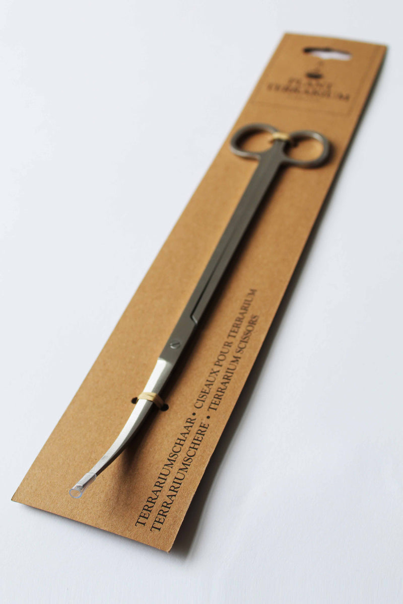 Terrarium Scissors – UK Terrariums Lusan